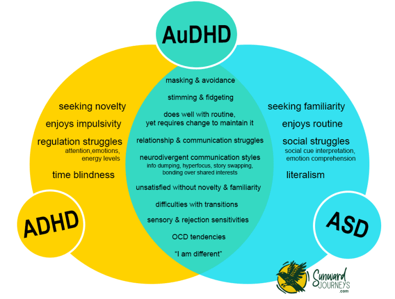 AuDHD Counselling: for when Autism and ADHD Collide | Sunward Journeys